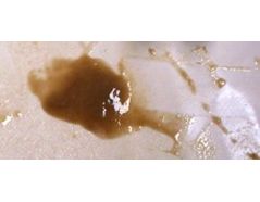 Genesol 30 Membrane Biocide