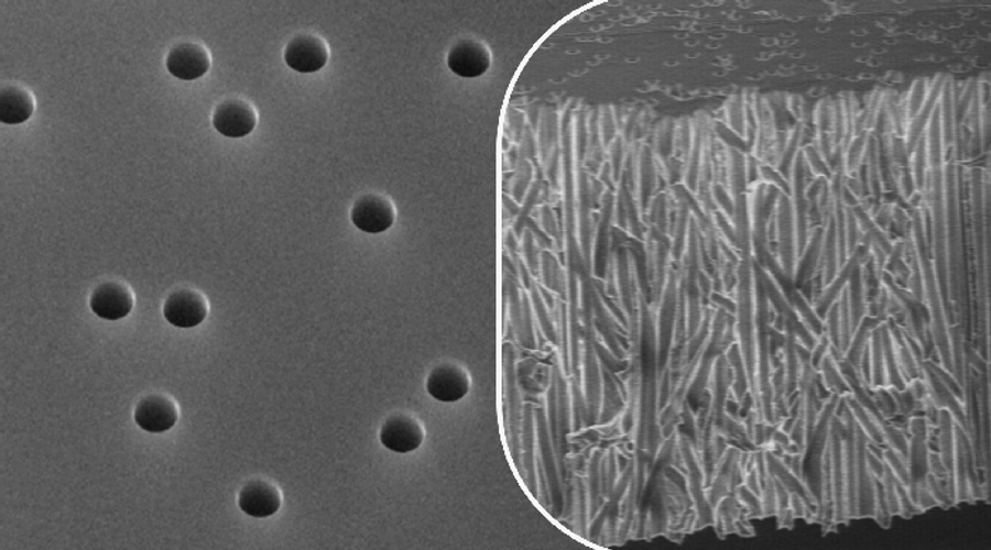 Ippore Laboratory - Polycarbonate (PC) Membrane Filters