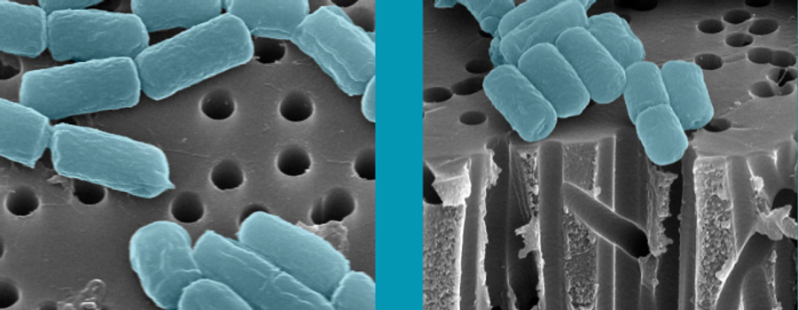 Ippore Laboratory - Polycarbonate (PC) Membrane Filters