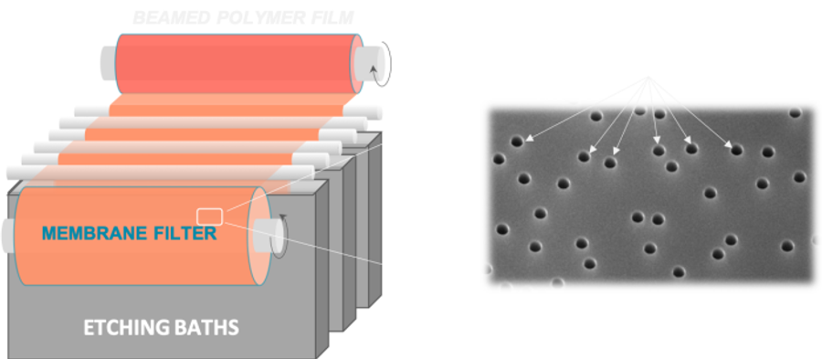 Ipcellculture Polycarbonate (PC) Membrane Filters