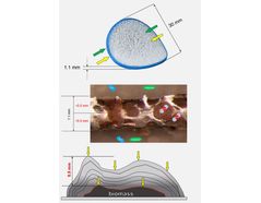 Mutag Biochip 30TM High-Performance Water Treatment Biofilm Carrier