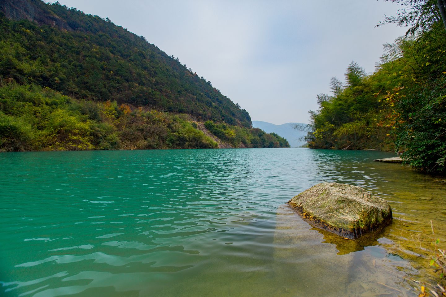 How to determine sludge concentration (MLSS)