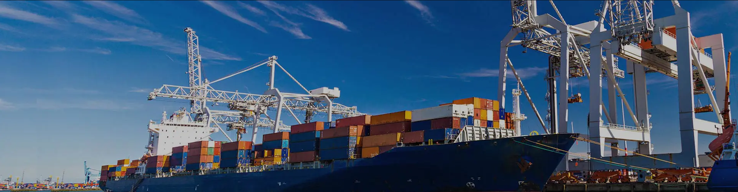 Xinglong Grade 4.8 High Strength Hexagon Bolts