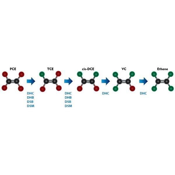 Census (qPCR) ER Chlorinated Ethenes Remediation