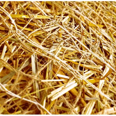 East Coast ECS-2B Biodegradable Double Straw