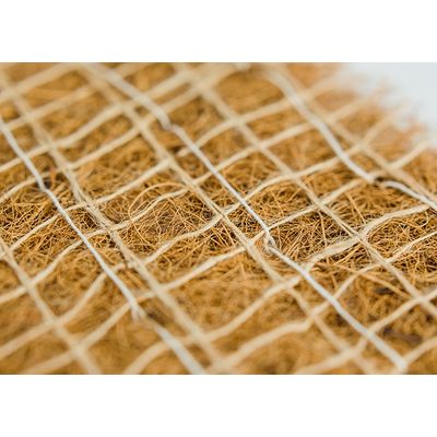 East Coast ECC-2B Biodegradable Double Coconut