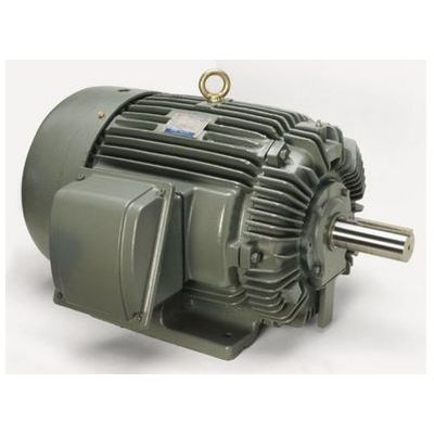 Dynamatic Types I and II (WPI, WPII) Weather Protected Types Motor