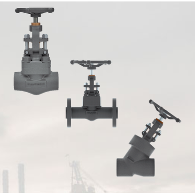 Walworth Forced Steel Globe Valves