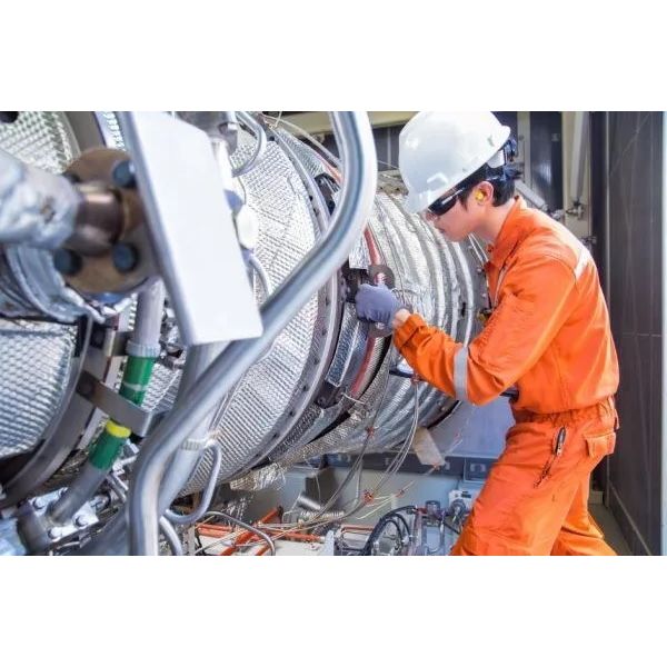 What is the difference between a borescope and an endoscope?