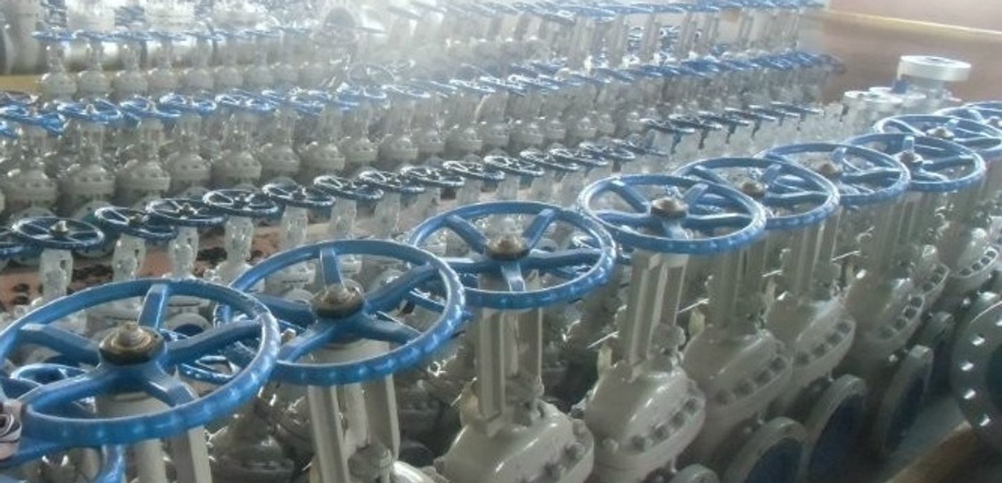 Tengs H44 Industrial Check Valve