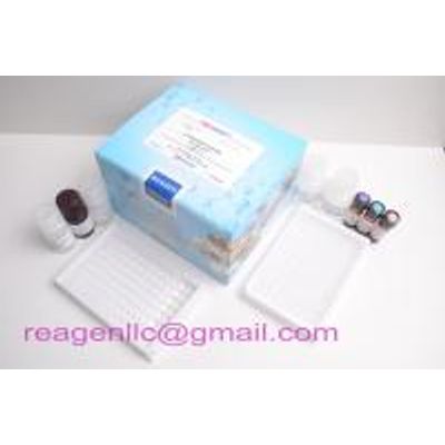REAGEN RNS92005 bt combo strip test kit