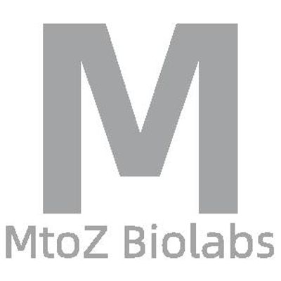 Protein Secondary Structure Analysis Service | MtoZ Biolabs
